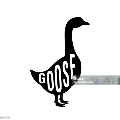 글자가있는 거위 블랙 실루엣 거위 기호 흰색 배경에 고립 된 농장 새 아이콘 가금류에 대한 스톡 벡터 아트 및 기타 이미지 가금류 고기 날기 Istock