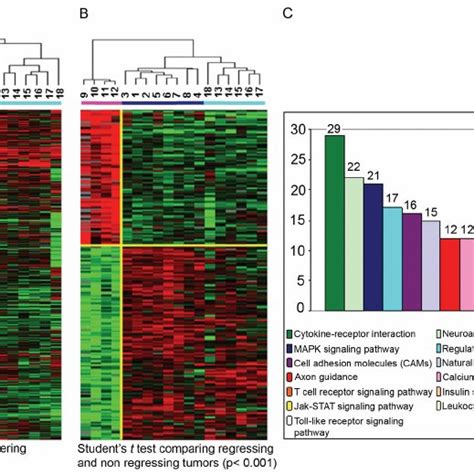 Differentially Expressed Interferon Stimulating Genes Isgs