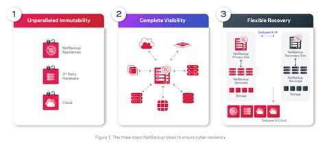 Cohesity Bulks Up Combines With Veritas Data Protection Unit Constellation Research Inc