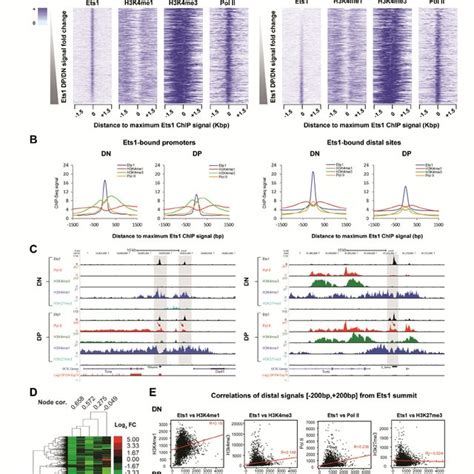 Figure S7 Enrichment Of Ets1 And Co Associated Motifs At Promoters And