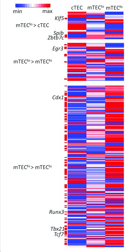 Heatmaps Of Rna Seq Data From Tec Subtypes For Significantly Enriched Download Scientific