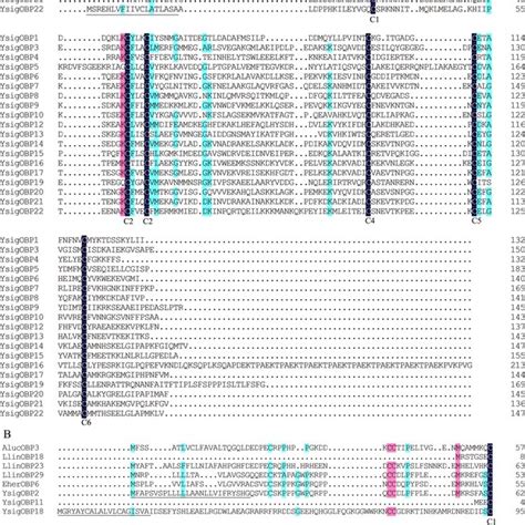 Multiple Sequences Alignment Of Putative Y Signatus Csps Amino Acid