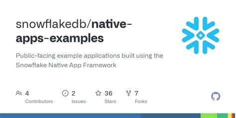 Github Snowflakedbnative Apps Examples Public Facing Example