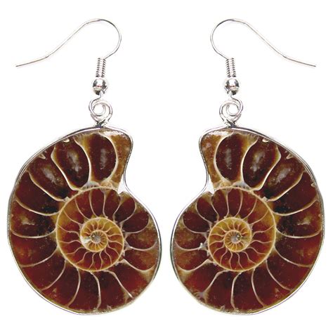 Bicbugs Ammonite Earrings Extinct Shelled Cephalopod Fossil Madagascar