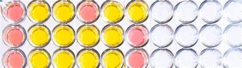 Optimizing Elisa Sample Prep Biocompare The Buyers Guide For Life Scientists