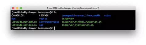 Come Impostare Teamspeak Server Su Linux