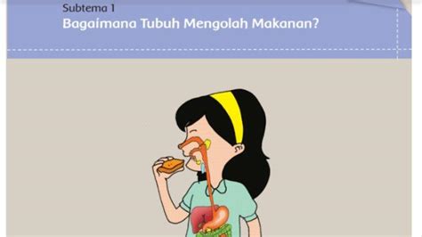 Kunci Jawaban Buku Tematik SD Kelas Tema Makanan Sehat Subtema Pembelajaran Halaman