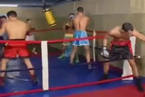 Boxing Gay Porn Videos At Boy Tube