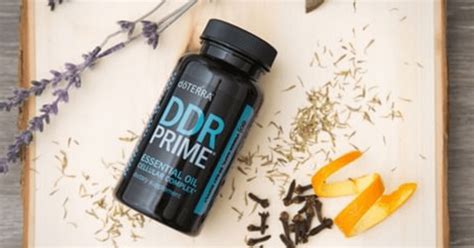 What Is Ddr Prime And How Do I Use It In My Neurodiverse Home