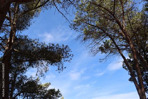 Massawa Eritrea September 02 2021 Amazing Landscape From The