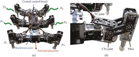 Color Online A Biologically Inspired Hexapod Robot Fs 126