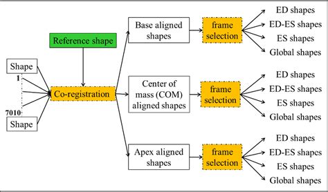 Open Access Segmentation Of The Left Ventricular Endocardium From
