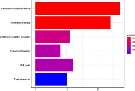 Kyoto Encyclopedia Of Genes And Genomes Pathway Analysis Of