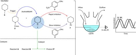 Design Of The Organocatalytic Oscillator The Chemical Reaction Network Download Scientific