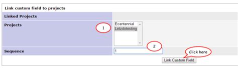 How To Create A Custom Field In Mantisbt Letzdotesting