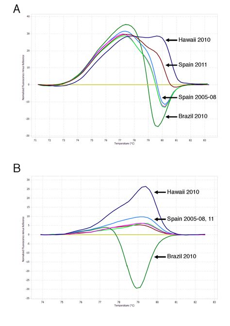 Derivative High Resolution Melting Curves Comparing Individual Cetacean