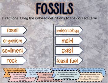 Fossils Vocabulary Matching Activity Print Digital TPT
