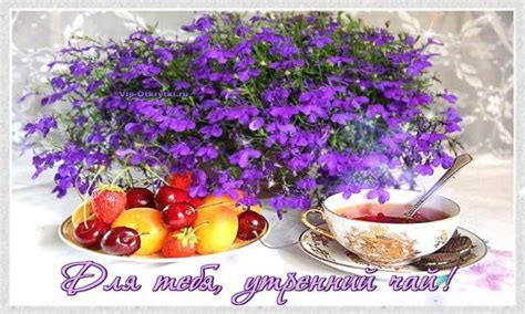 Для тебя утренний чай Vip Dlya Tebya Utrennij Chaj