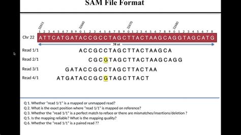 Bam File Format Gasmscott