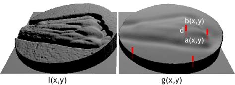 Dr Ravimal Bandara A Fast Simple And Powerful Contrast Enhancement