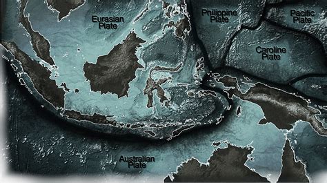 Wallaces Line And Biogeography Of The Malay Archipelago