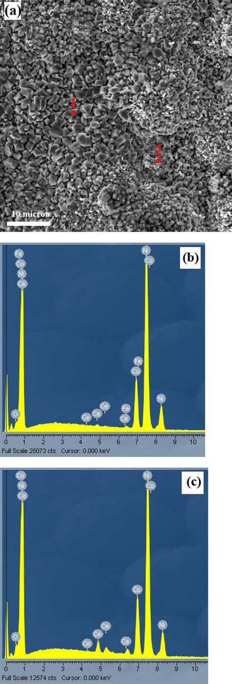 Sem Surface Morphology A And Eds Analysis Of Ni Co Ceo2 Coated