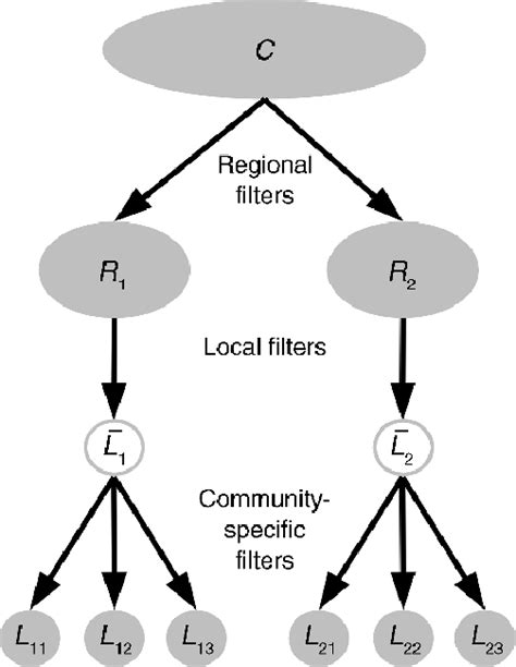 The Hierarchical Structure Of Species Assemblages Showing Regional Download Scientific