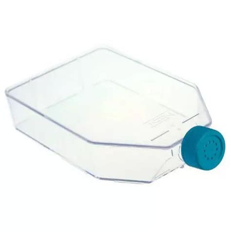 Nest Cell Culture New T150 Flask Power Lab Supply Nest Cell Culture New T150 Flask Power Lab Supply