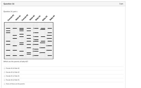 Solved Question 16 3 Pts Question 14 Part C Female 1 Male Chegg Com