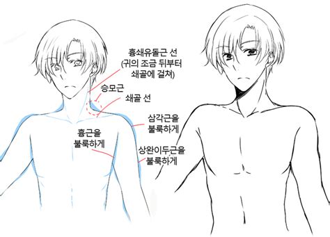 미남 이상적인 꽃미남을 그릴 수 있다 얼굴 및 체격의 핵심 캐릭터 그림 꿀팁사전