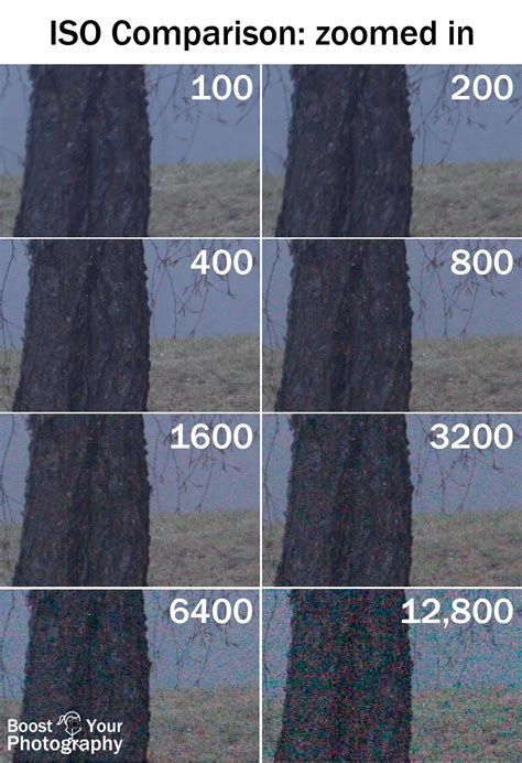 Iso Basics Boost Your Photography