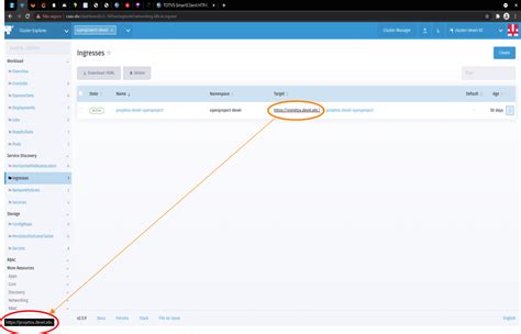 Error On Deployment Endpoint That Links The App To One Of The Cluster IP Issue Rancher