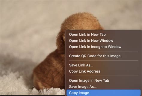 How To Add Import Images SketchWow Knowledge Base