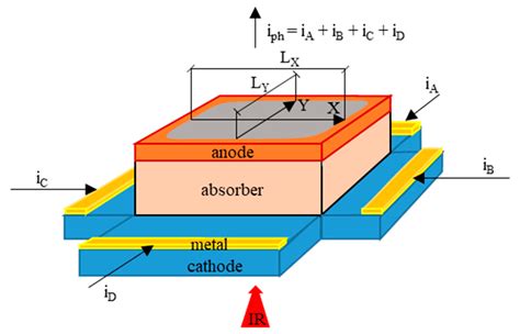 Hgcdte Photodetector Thorlabs At Joel Weatherly Blog