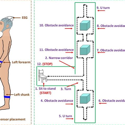Left Eeg Cap And Imu Sensor Placement Right The Protocol Used During