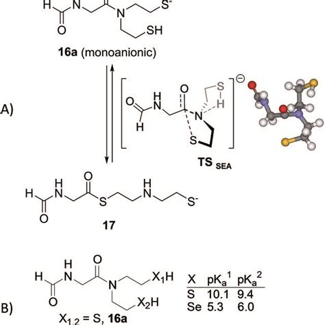 A Hypothetical Anionic Transition State Structure For The Download Scientific Diagram
