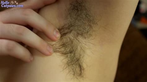 Hairy Armpit Tease Catpaws Xxx Mobile Porno Videos And Movies