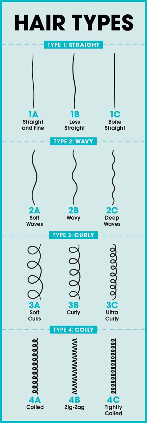 Male Hair Type Chart My Xxx Hot Girl