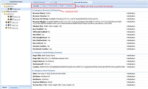 interface · beefproject beef wiki · github