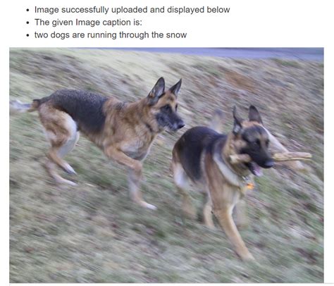 Github Pradhandebasish2046image Caption Generator With Cnn Lstm