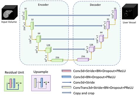 Automatic Hepatic Vessels Segmentation Using Rorpo Vessel Enhancement Filter And 3d V Net With