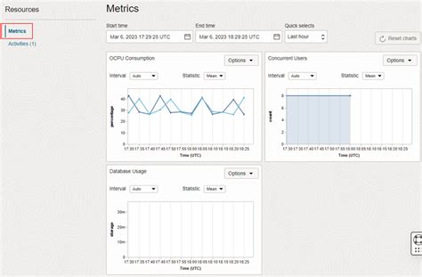View Instance Metrics