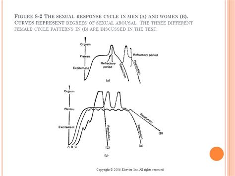 Copyright Elsevier Inc All Rights Reserved C HAPTER The Human Sexual Response Ppt