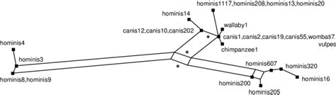 phylogenetic analyses of haplotype data for sarcoptes scabiei from