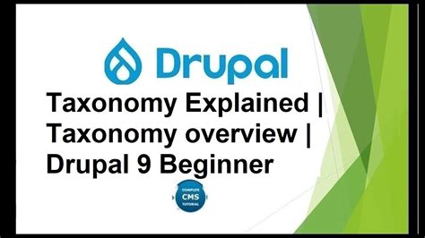 Taxonomy Explained Taxonomy Overview Drupal 9 Beginner Youtube