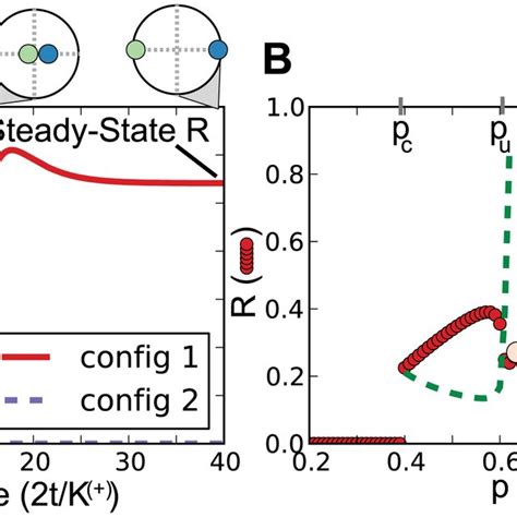 Simulation Results From Mean Field Coupled Oscillator Model All Curves Download Scientific