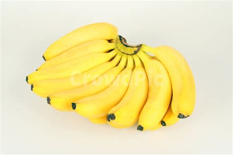 바나나 과일 생과일 음식 디저트 사진 이미지 일러스트 캘리그라피 Dawool작가