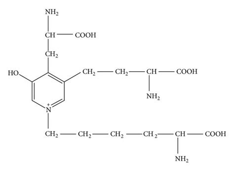 Structures Of Pyridinoline Pyd And Deoxypyridinoline Dpd Upper