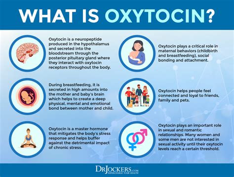 Oxytocin Hormone Function